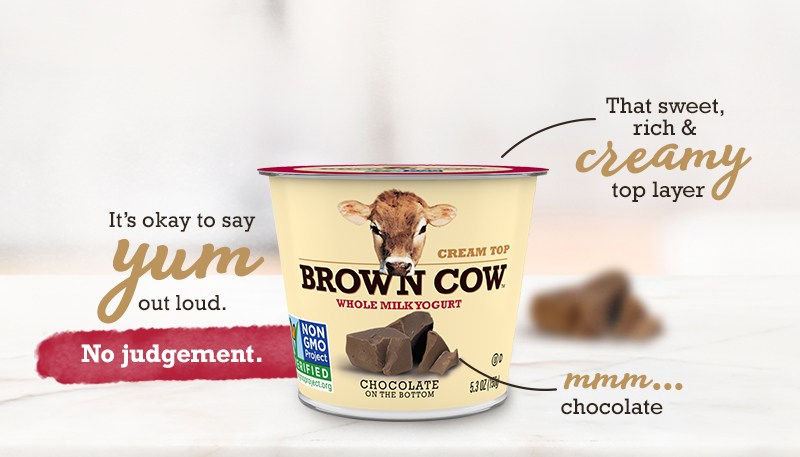Chocolate - Brown Cow Yogurt